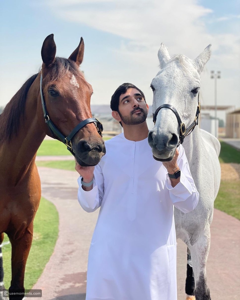 UAE Royals: Get to Know Sheikh Hamdans Horses - UAE Moments